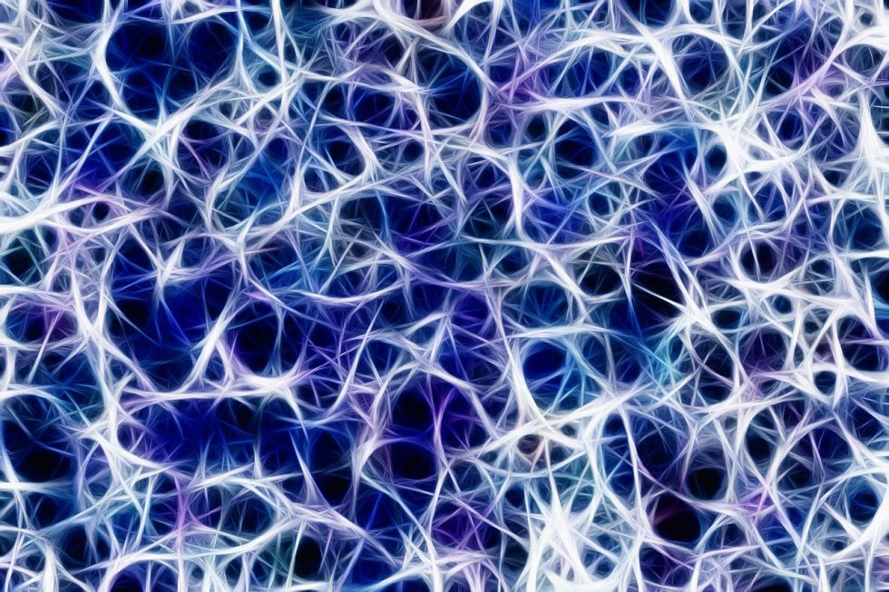 How Fatal Familial Insomnia affects Parts of the Nervous System